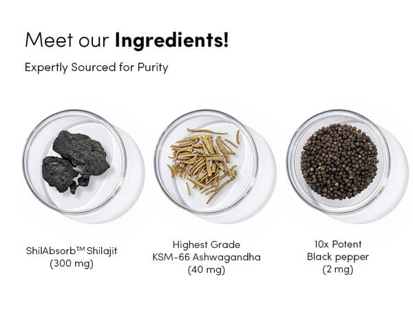 Buy India's first Shilajit Gummies by Man Matters